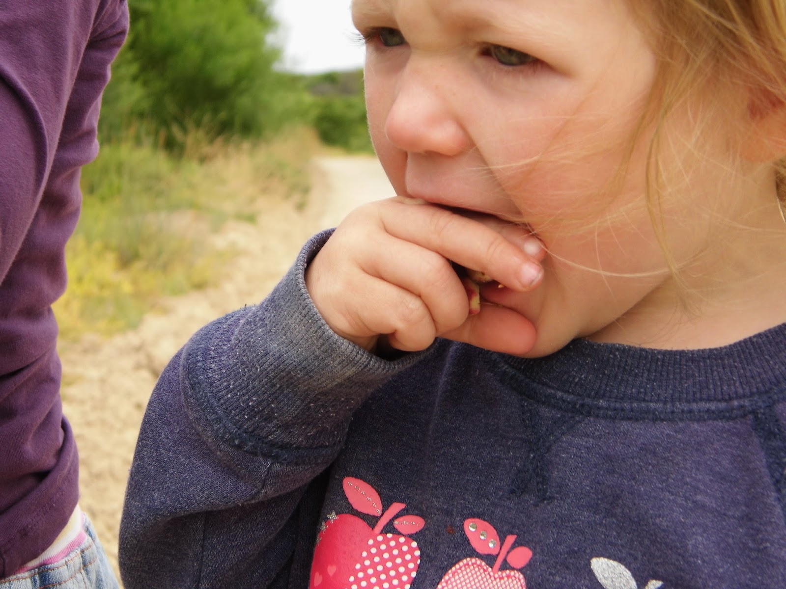 One Mother Hen: Picking Muntrie Berries