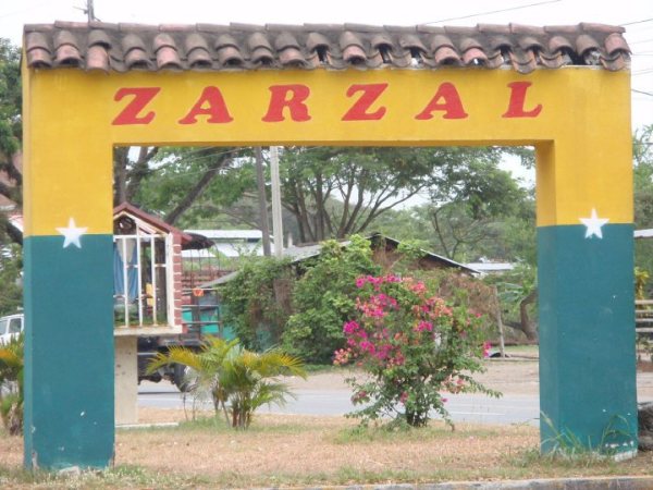 Latinos por el Mundo: Zarzal Valle del Cauca - Colombia : Año 2010