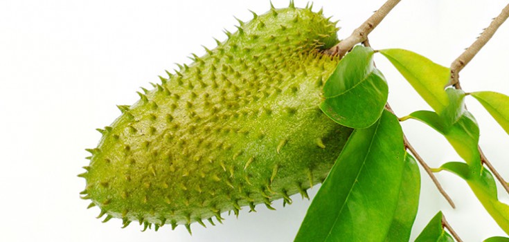 This One Fruit Kills Malignant Cells Of 12 Different Types Of Cancer ...
