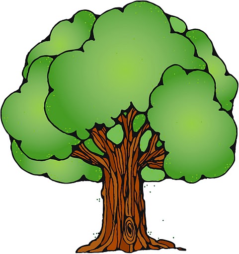 Dibujo de un arbol a color - Imagui