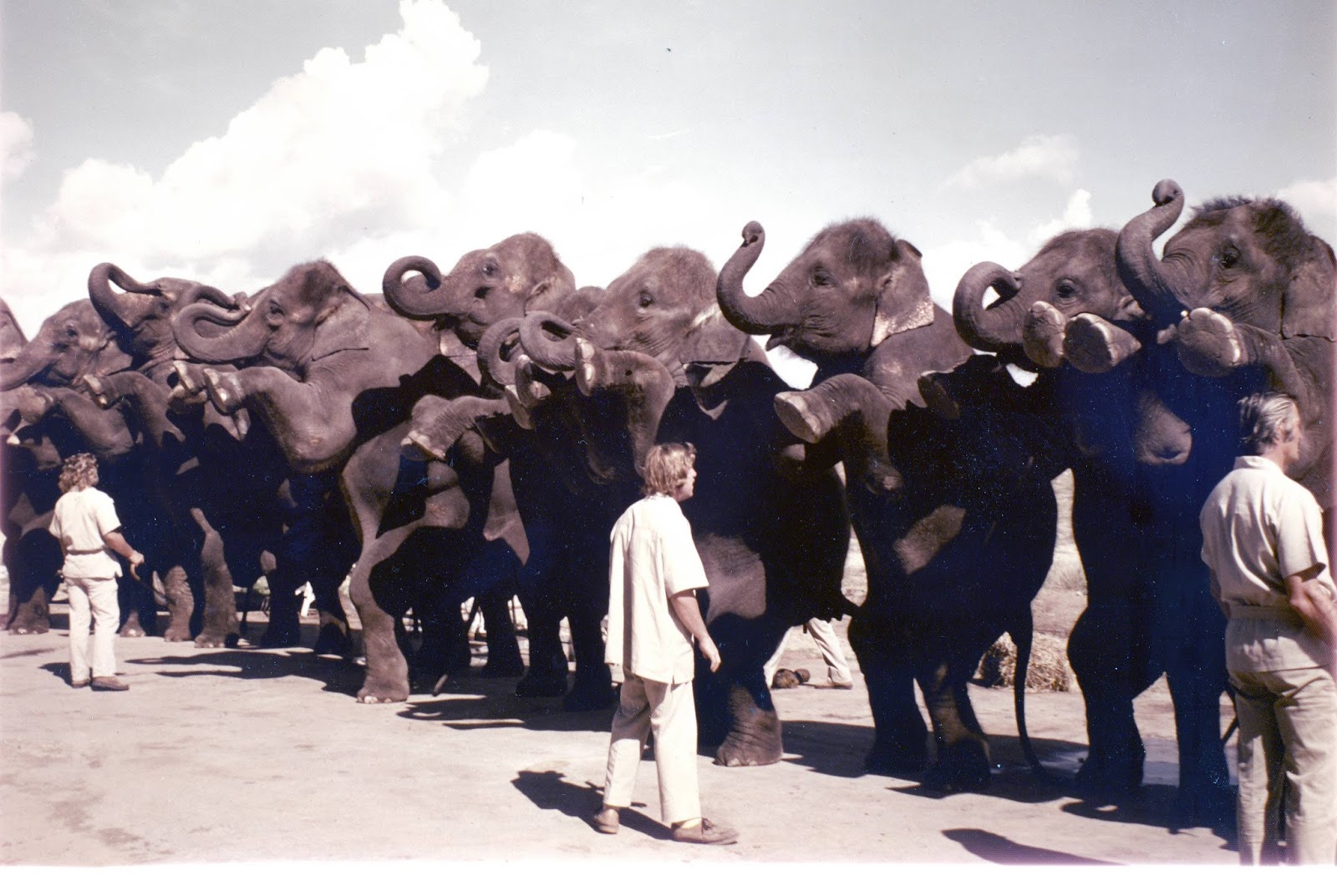 Buckles Blog: #12 Scott Riddle