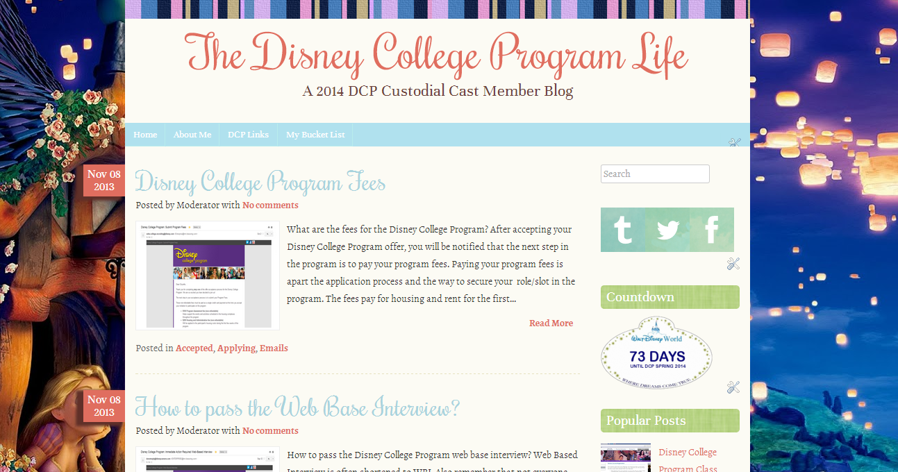 The Future of DCP Life | The Disney College Program Life