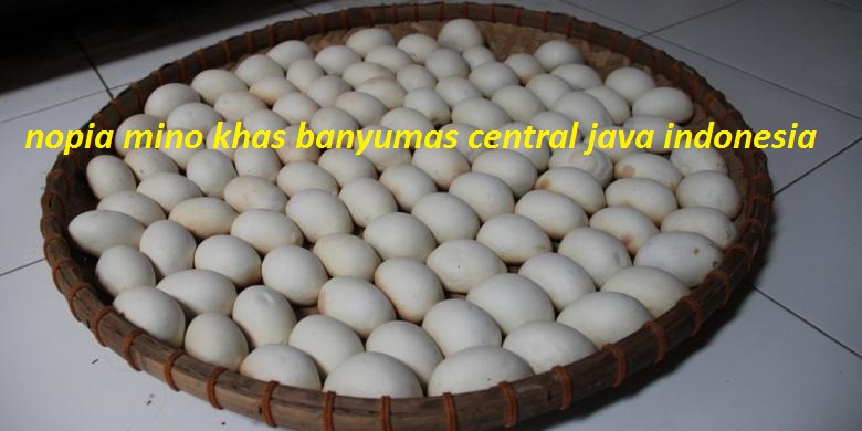 NOPIA MINO SPECIAL BANYUMAS | NOPIA RECIPES MINO BANYUMAS | HOW TO MAKE ...