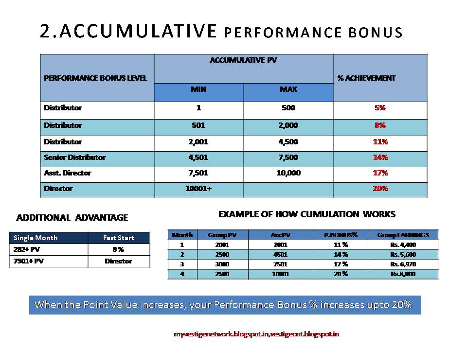 Vestige Digital Network: INCOME GROWTH PLAN