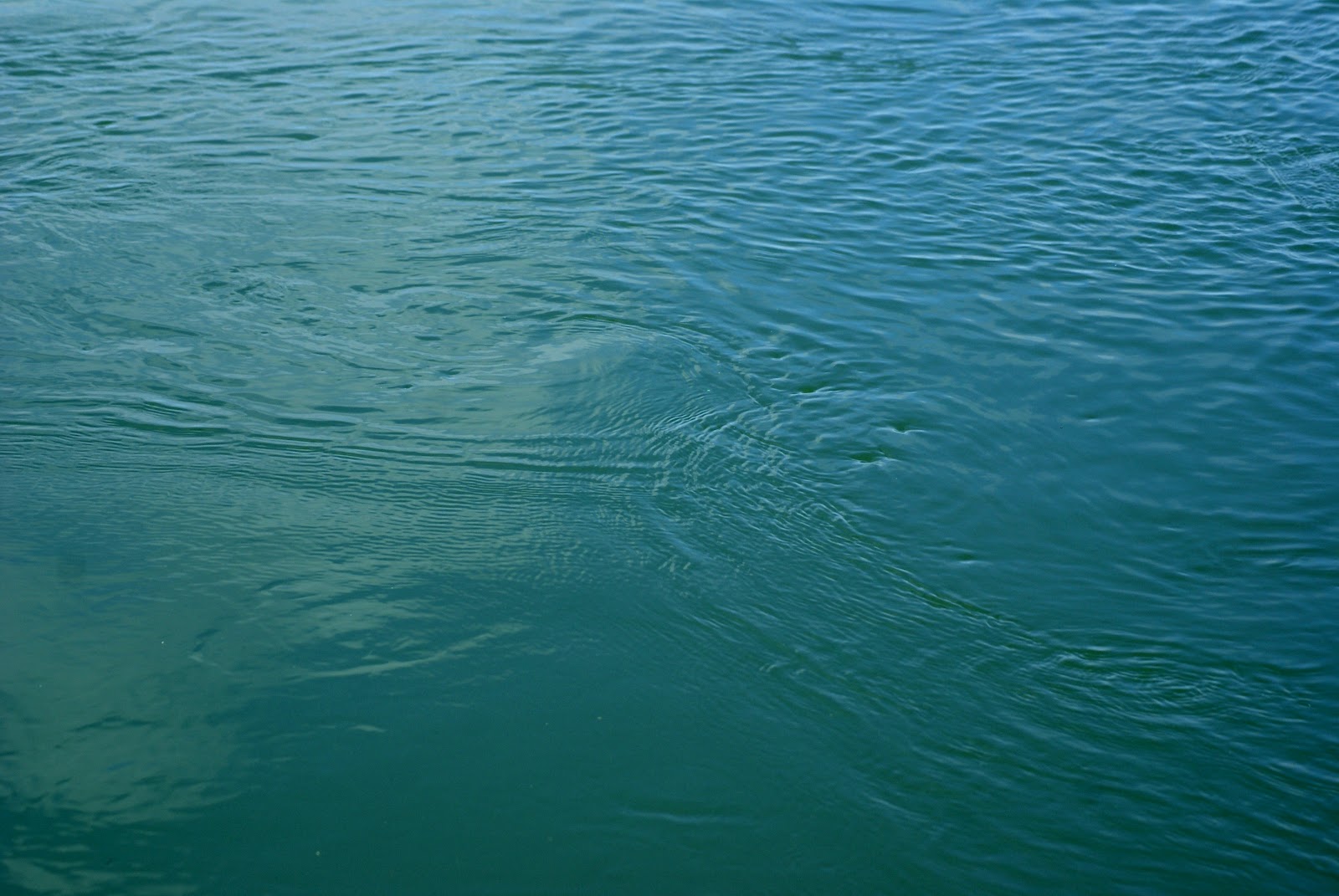 A photo, A thought............: Observation: Spectacular ripple ...