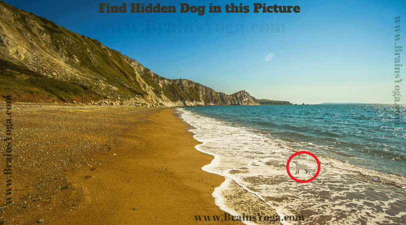 Hidden Dog Picture Puzzle with Answer