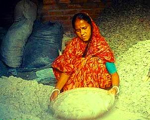 Asbestos Health Risks and Litigation