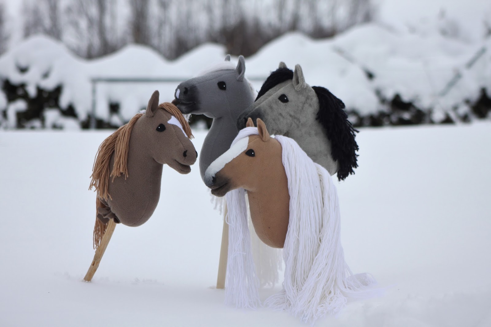 Keppihevosblogi: helmikuuta 2016