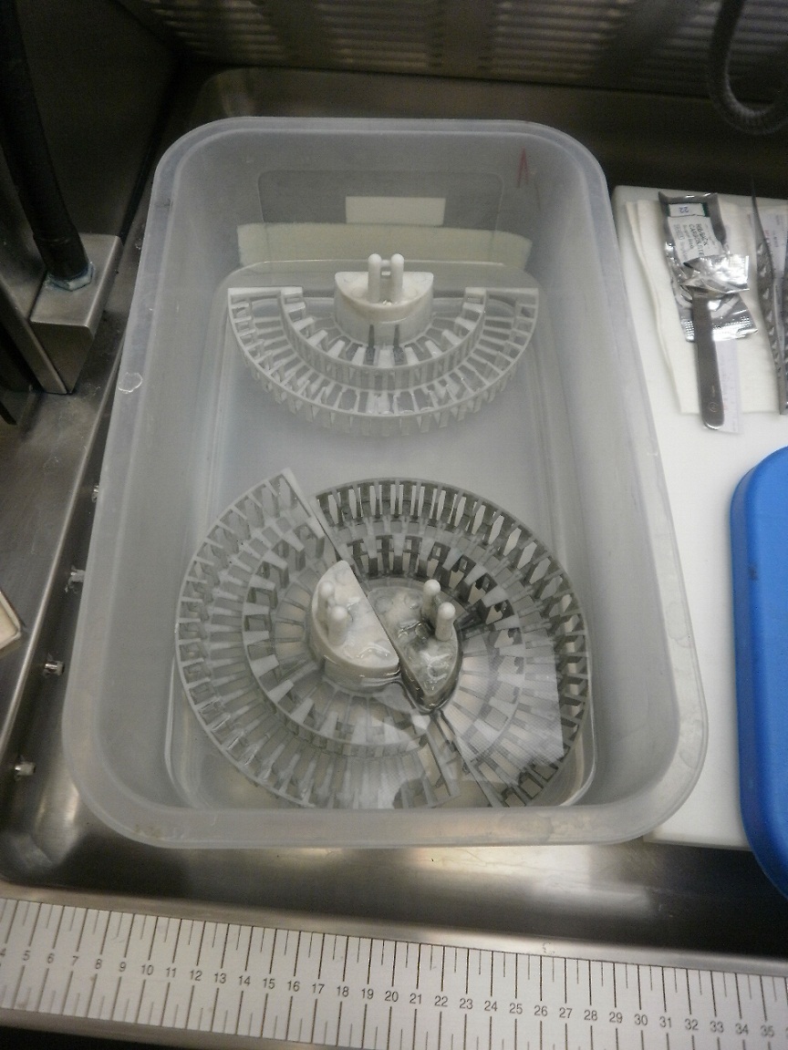 The Making of a Pathologists' Assistant: A Trip to the Pathology ...