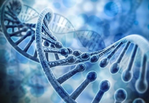 Living with Kennedy's Disease: Genetic Anticipation