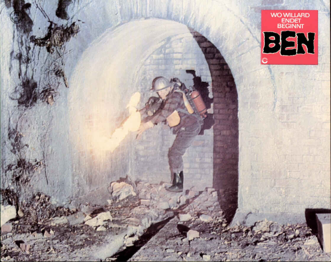 Todo El Terror Del Mundo: Ben, La Rata Asesina (Ben) (Ben, O Rato ...