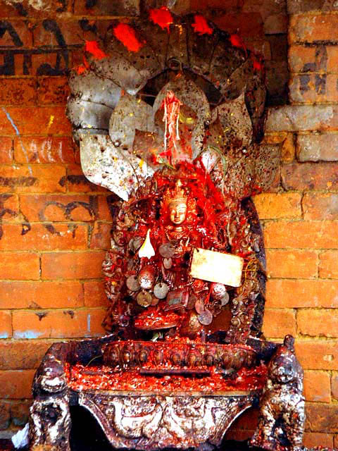 PANAUTI ~ Nepal Beauty