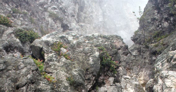 A Journey of First-Time Mountaineers; Conquering Mt. Apo and Mt. Talomo ...