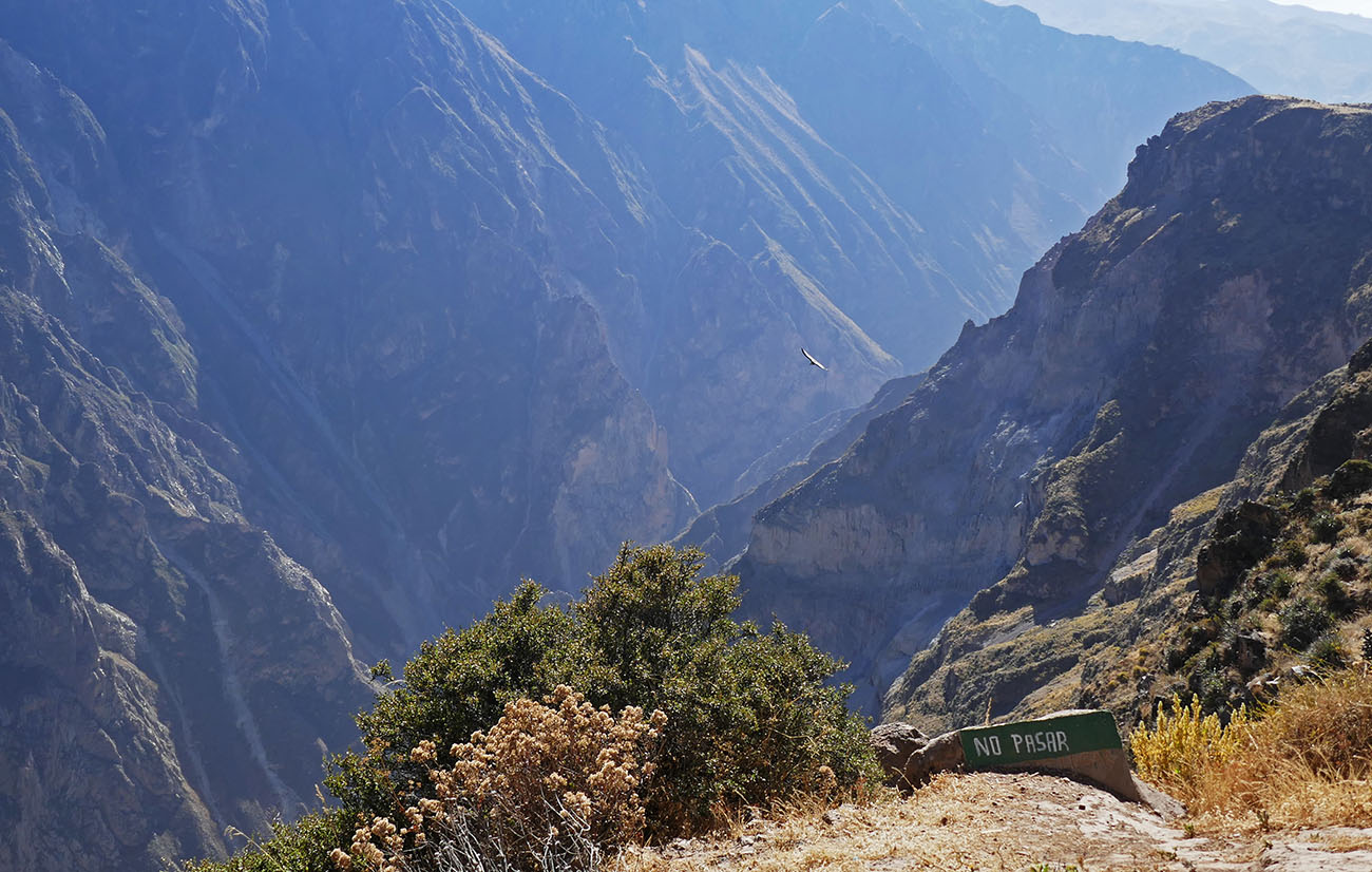 LA FOTO: 14 días en Perú. EL CÓNDOR PASA | Red10