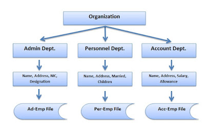 𝐈𝐧𝐟𝐨𝐭𝐞𝐜𝐡 𝐂𝐚𝐫𝐞: Traditional Approach vs Database Approach