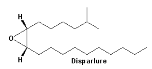 Química Fácil: Questões Sobre Orgânica 1