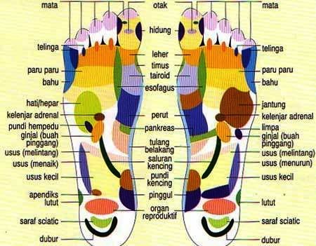 Collagen Marine & DaebakStuff: Original Jun Gong Foot Detox Patch [Gold Edition] from korea