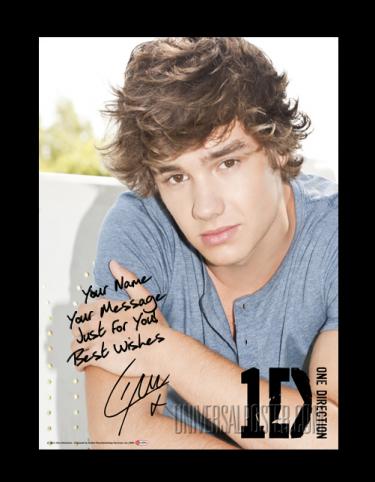 One Direction 1D: Biografía de "Liam Payne".