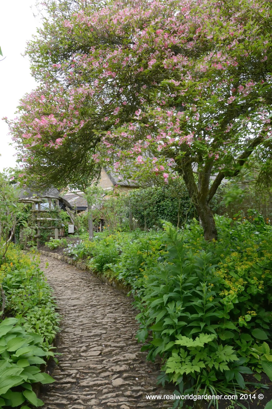 Real World Gardener: Seasonal Gardens, Cooling Gardens