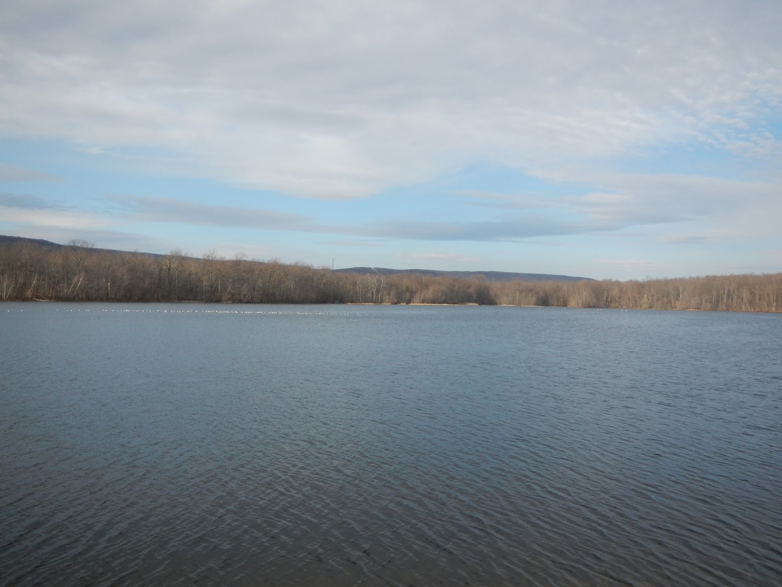 Taking Out the Trash in Eastern PA: Bear Swamp and Lake Minsi (27-Feb-2017)