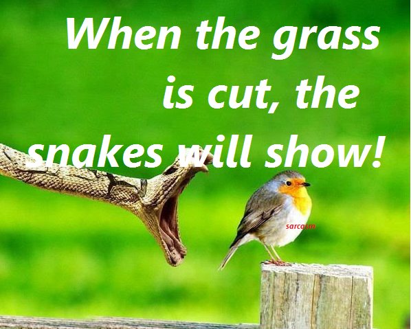 For What It's Worth: Driving the Karma Bus....