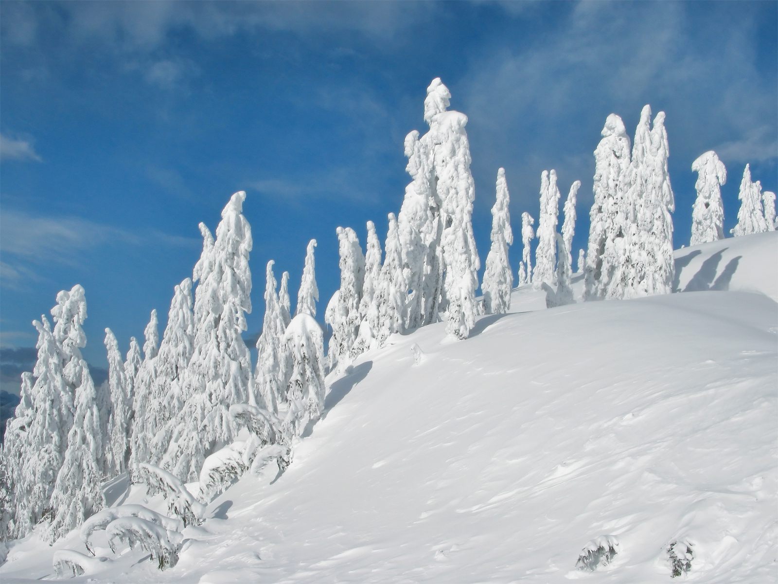 Mooie Sneeuw Achtergronden