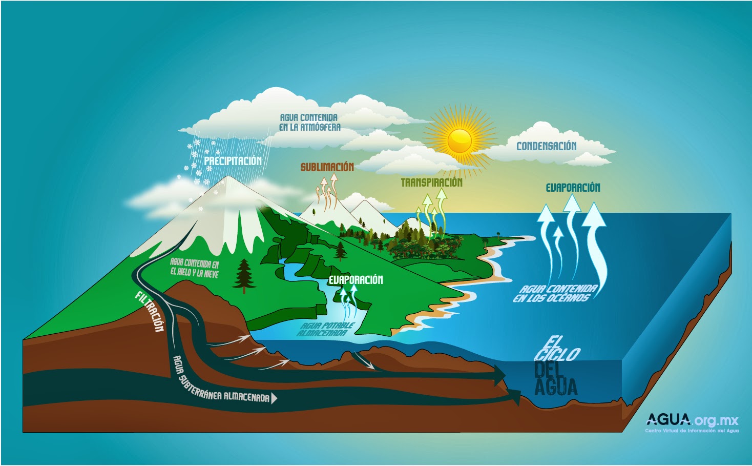 Ciencias Naturales: Ciclos De La Naturaleza