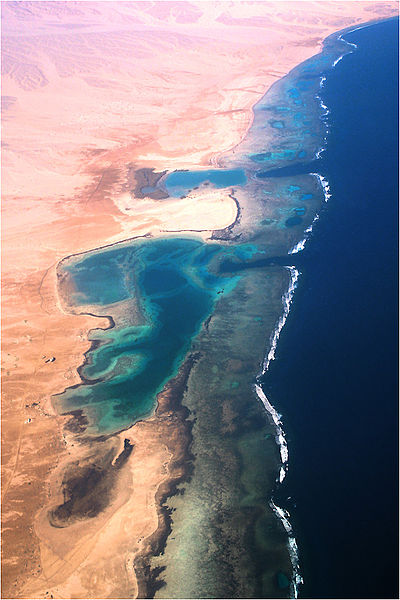 ما يميز محمية نبق هو شجر المنجروف (او الشوري مثلما يسمونه أهل البلدة ...