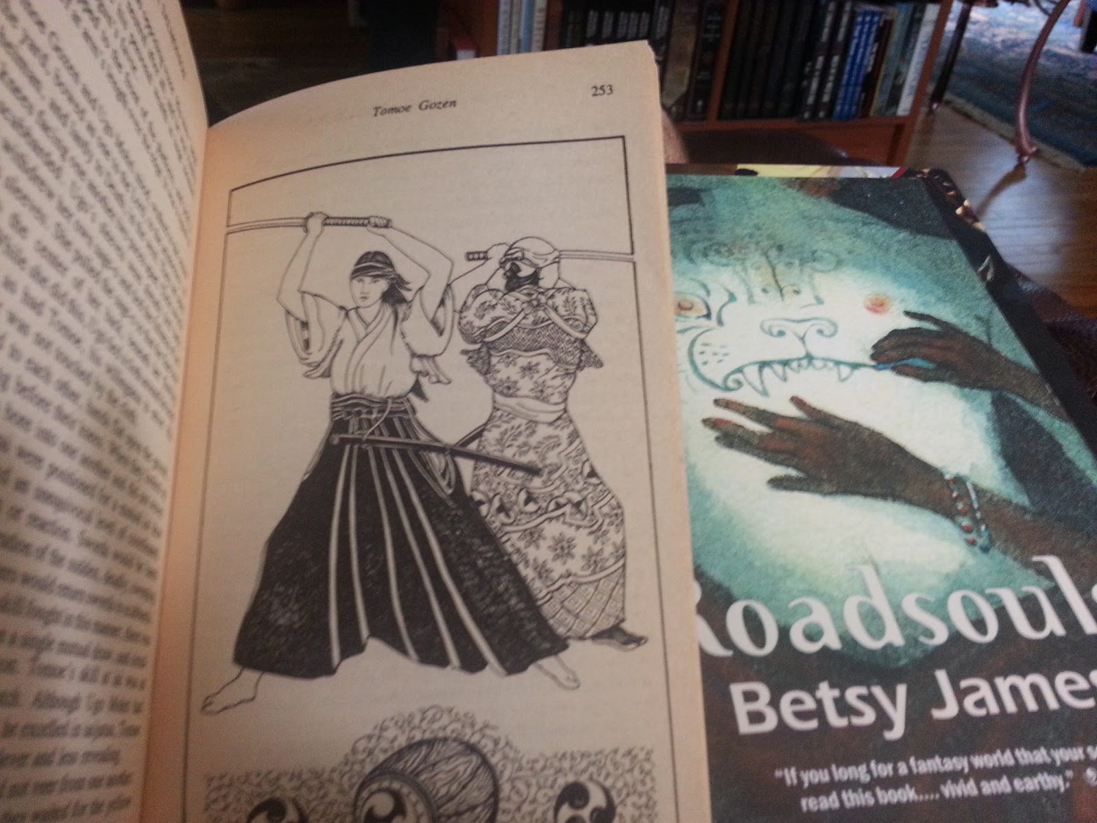 Books with pictures in them? : r/Fantasy