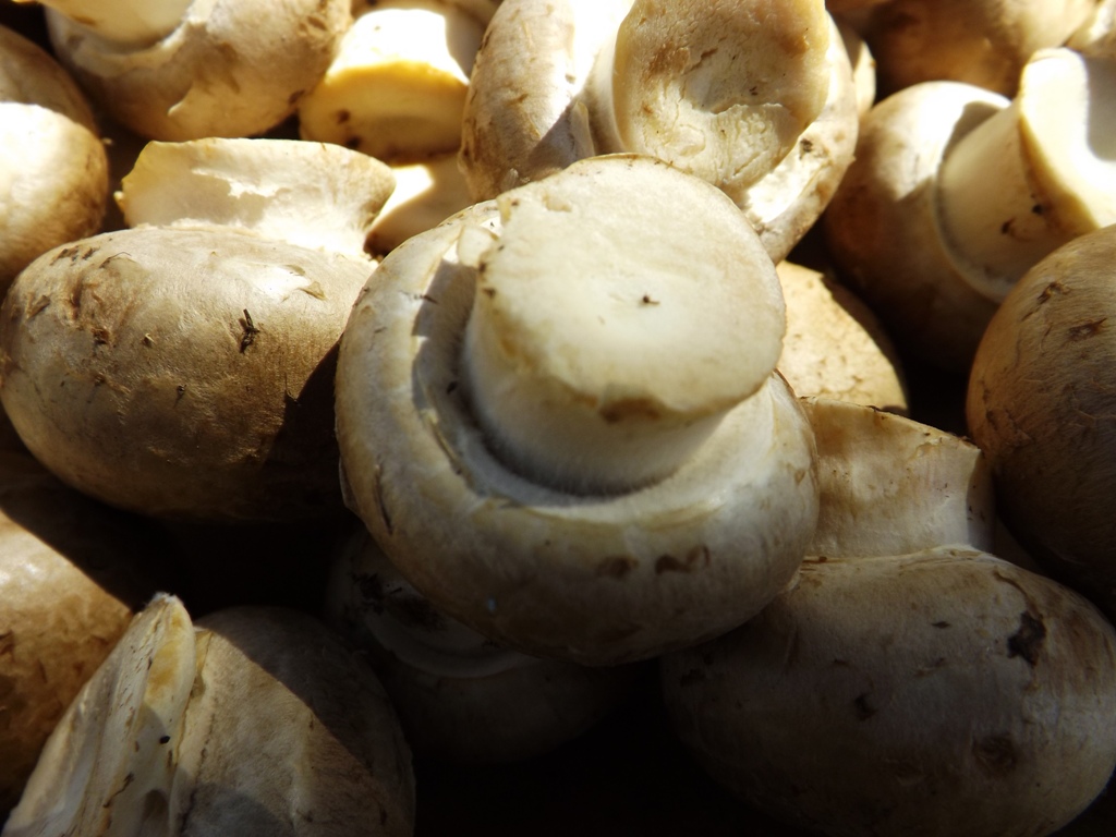 MARIETTE'S BACK TO BASICS: {What YOU should LOOK for when Buying Fresh ...