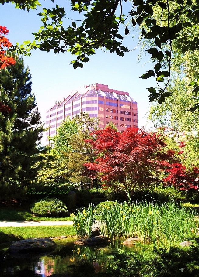 City Gems - Toronto and Mississauga ~ Susan Leitch