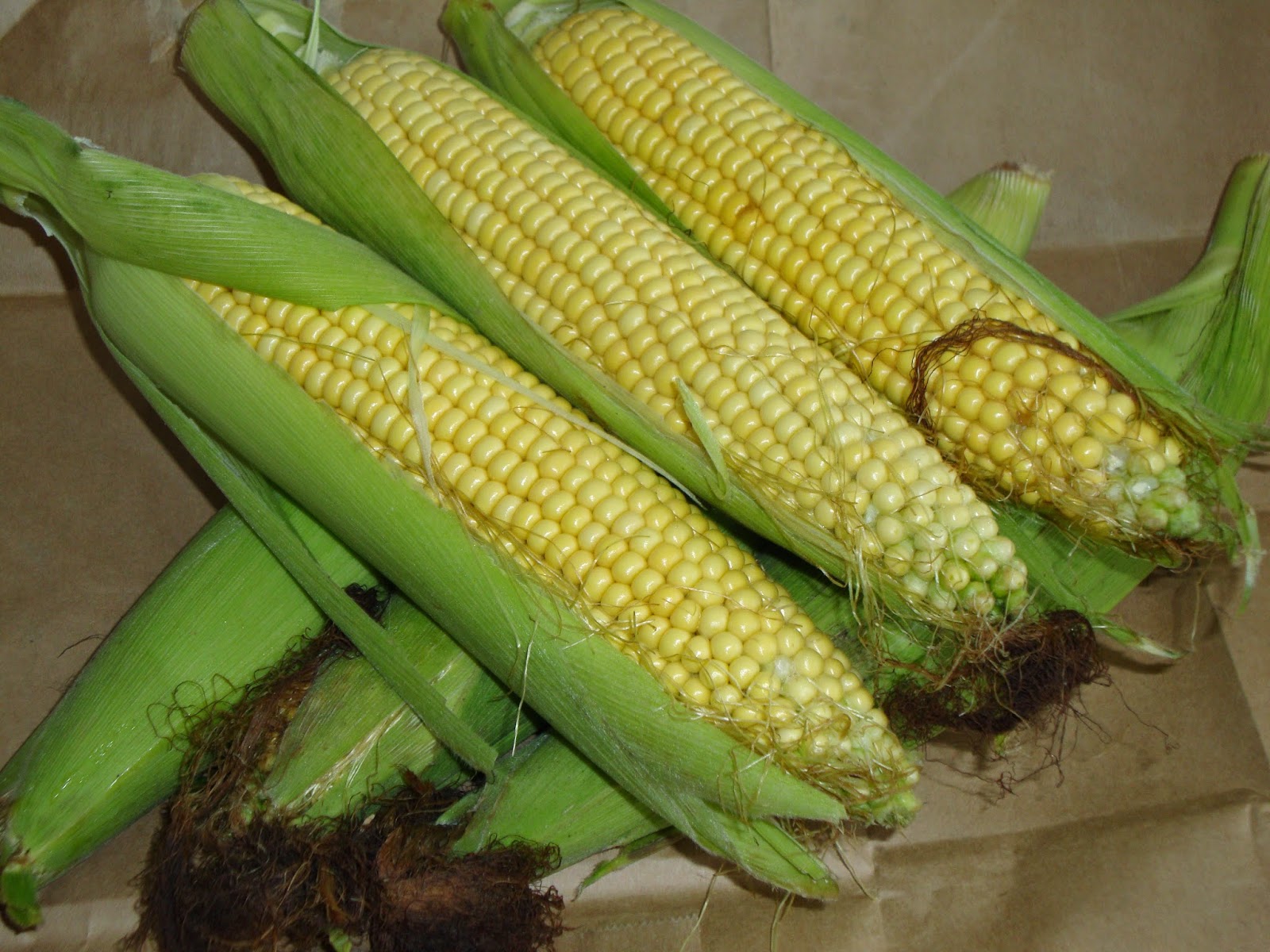 ce mai gatesc fetele: PORUMB FIERT