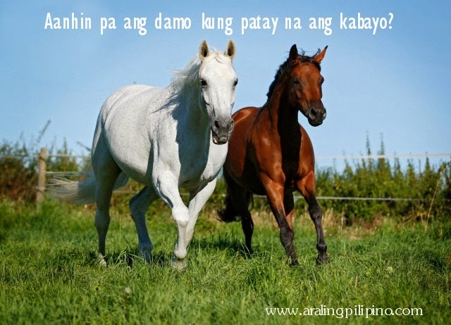 Aanhin Pa Ang Damo Kung Patay Na Ang Kabayo Ay Halimbawa Ng