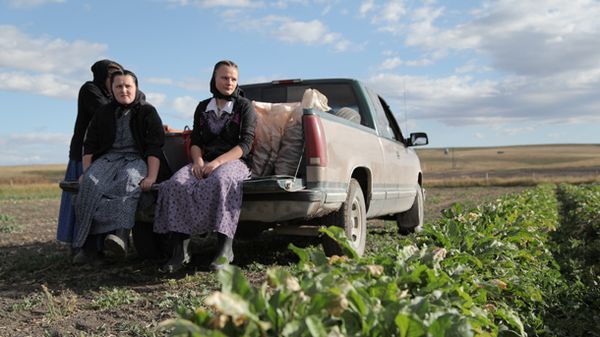 meat: "american hutterites"