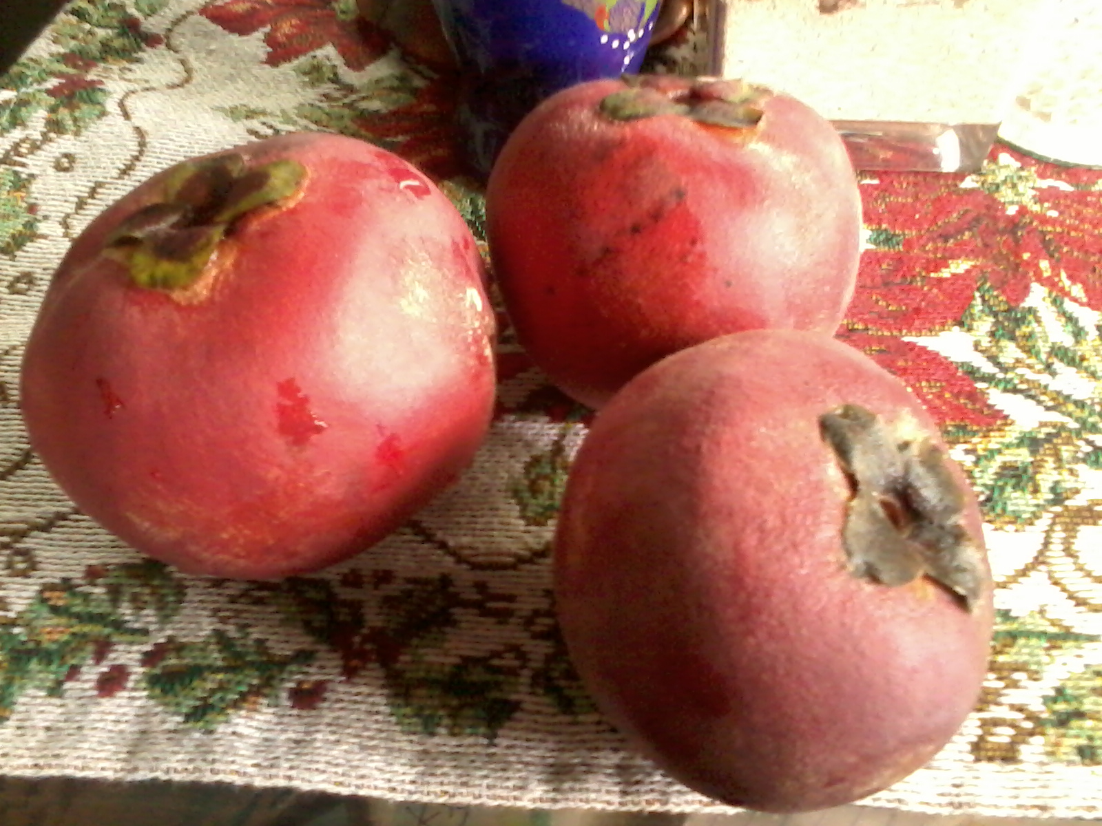 The Little Day Dreamer: Mabolo Fruit