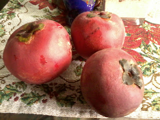 The Little Day Dreamer: Mabolo Fruit