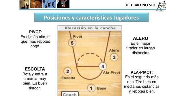 Baloncesto (posiciones)