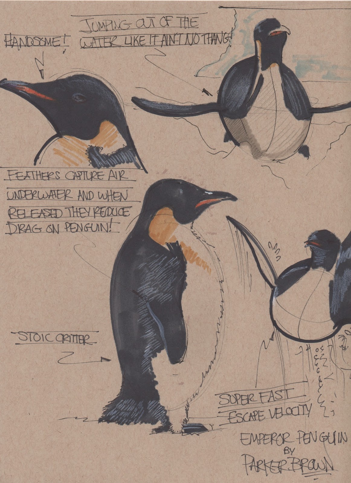 Notes from the Atelier