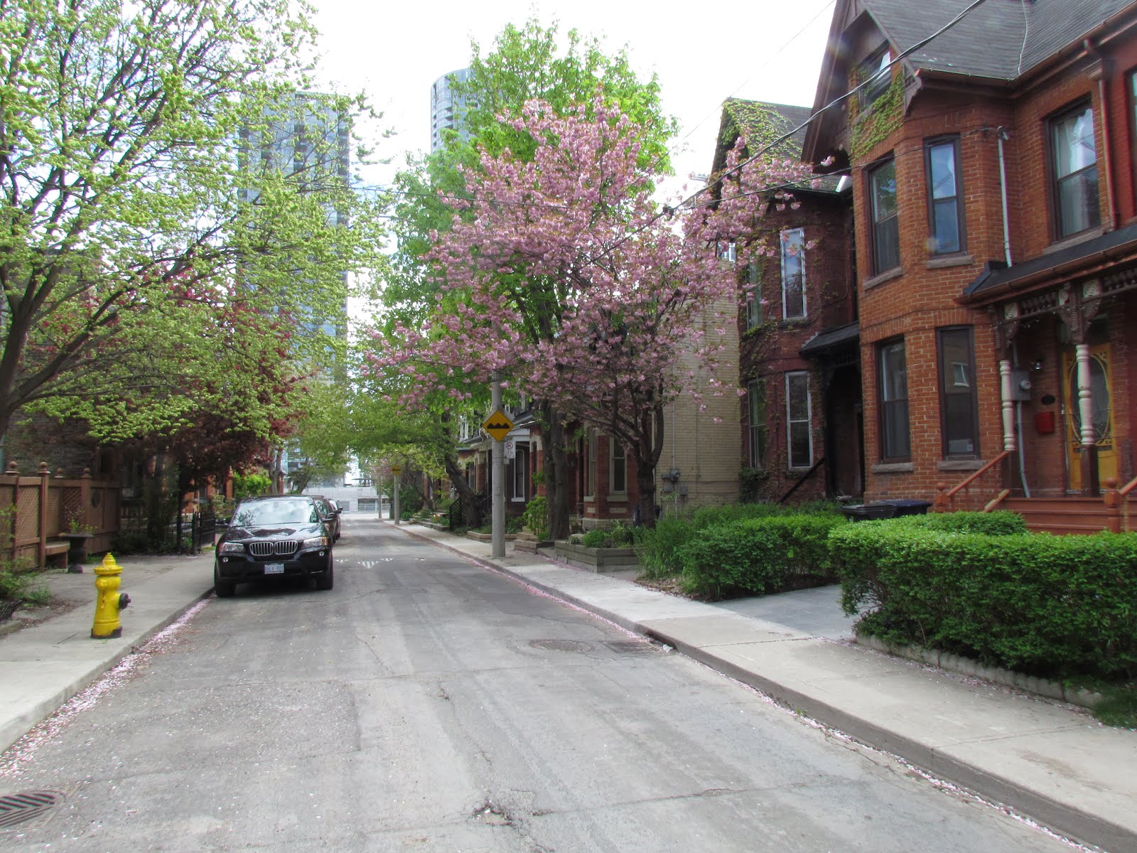 The World of Gord: Jane's Walk - Wellington Place: A Remarkable ...