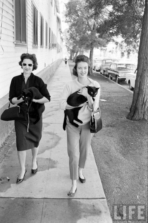 The Freelancer's Fashionblog: ...SPIT THREE TIMES OVER YOUR SHOULDER