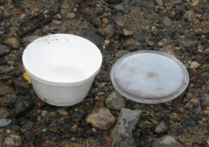 Litter picking is an All Season Sport - Fishing Bait in Styrofoam ...