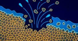 Jenis Erosi Air - Biologizone