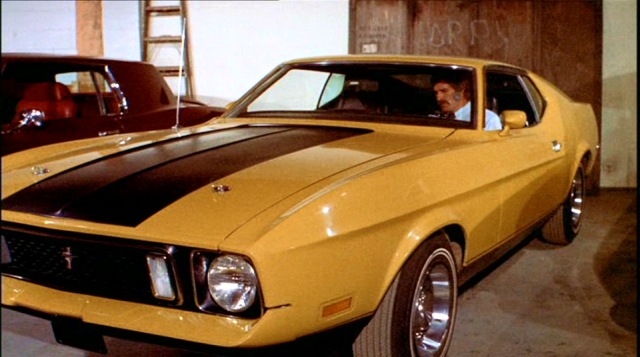 Shameless Pile of Stuff: Movie Review: Deadline Auto Theft