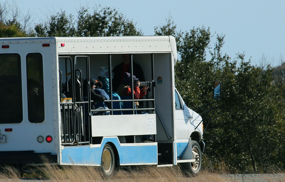 Siebert Realty Sandbridge Beach Virginia Beach Rentals VA Vacation ...