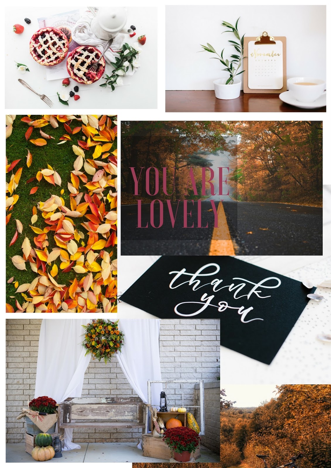 November Mood Board 2017: Simple Ways To Practice Gratitude | Nia Maria