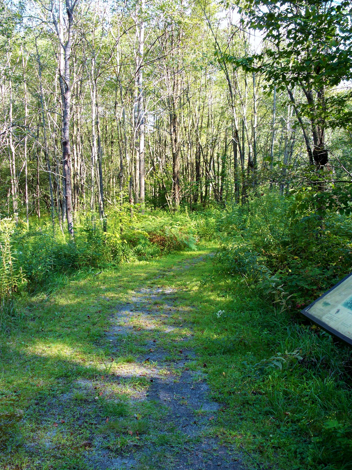 organic aspirations: A Tour of Timberdoodle