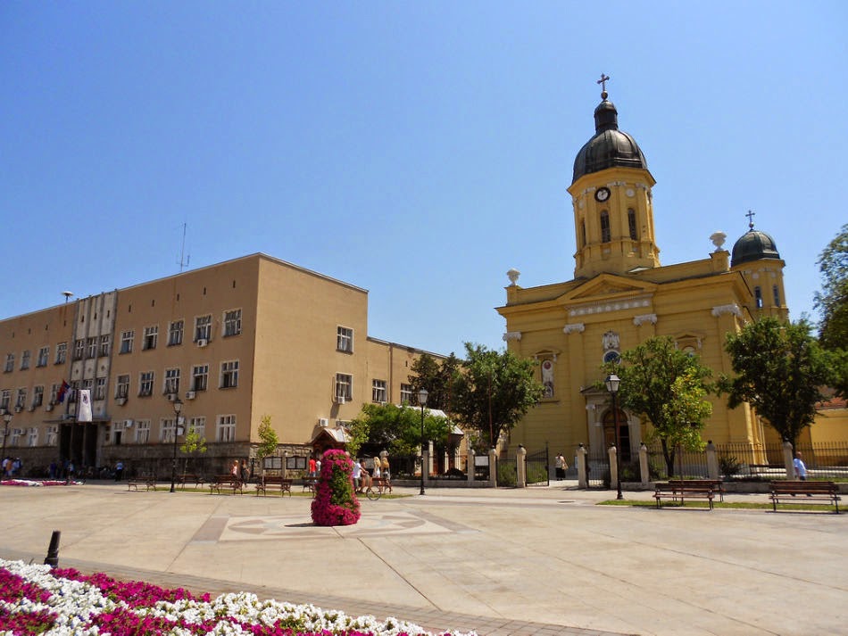 IZBORI ZA SAVETE MESNIH ZAJEDNICA OPŠTINE NEGOTIN