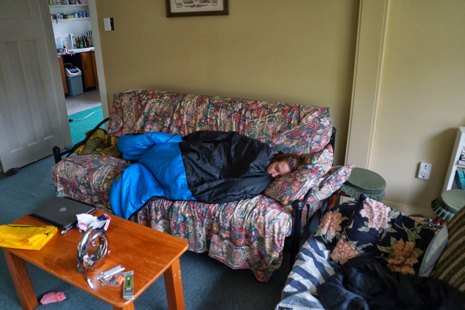 Sommer, Sonne, Kaktus!: Stewart Island