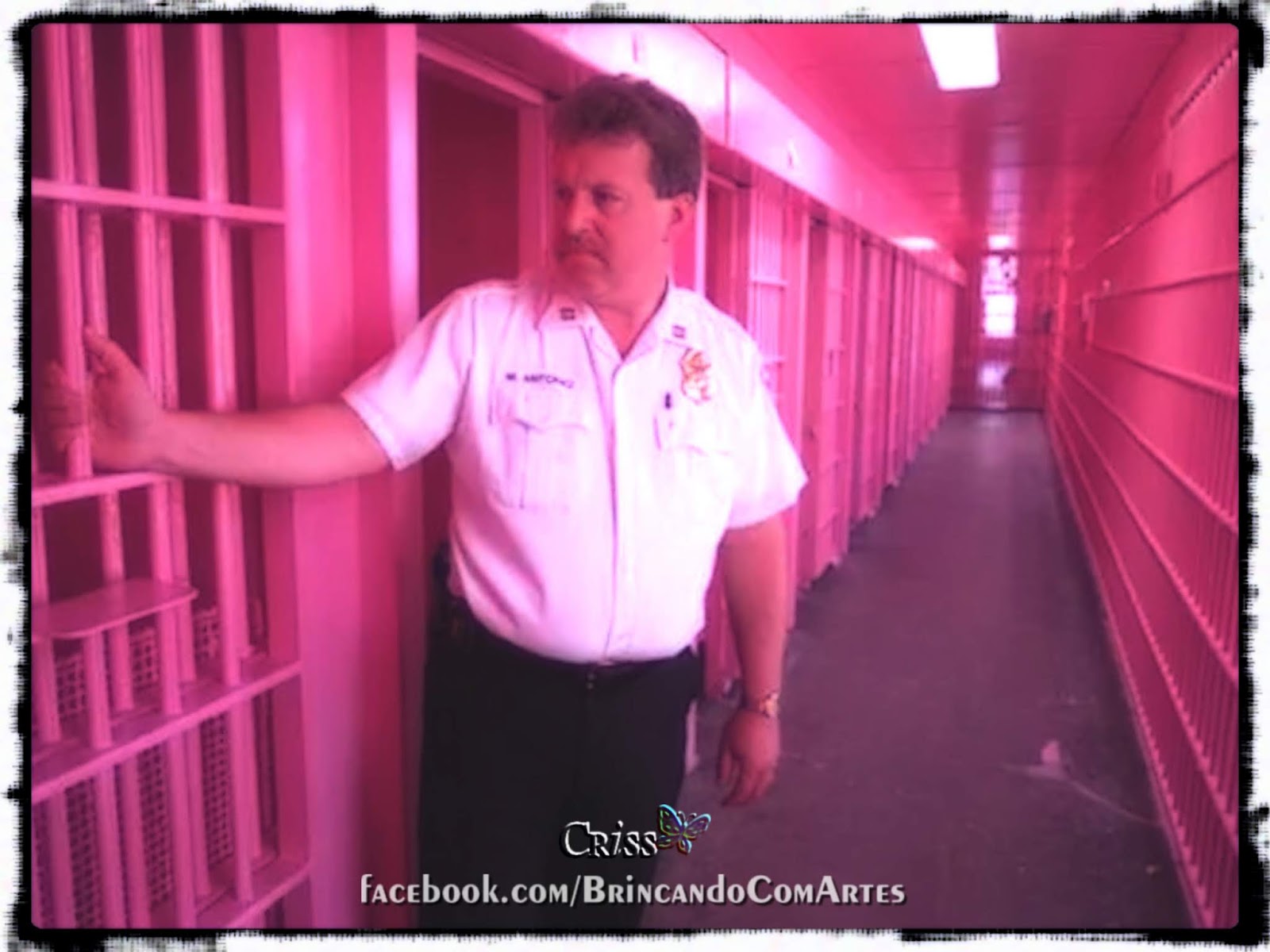 Brincando com Arte - o¤°SORRISO°¤o: 10 Coisas Que Você Não Sabia Sobre ...