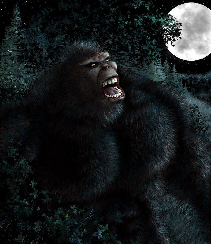 SHENANIGANS AND SKULDUGGERY: Scientists Use Genetics To Try And Track ...